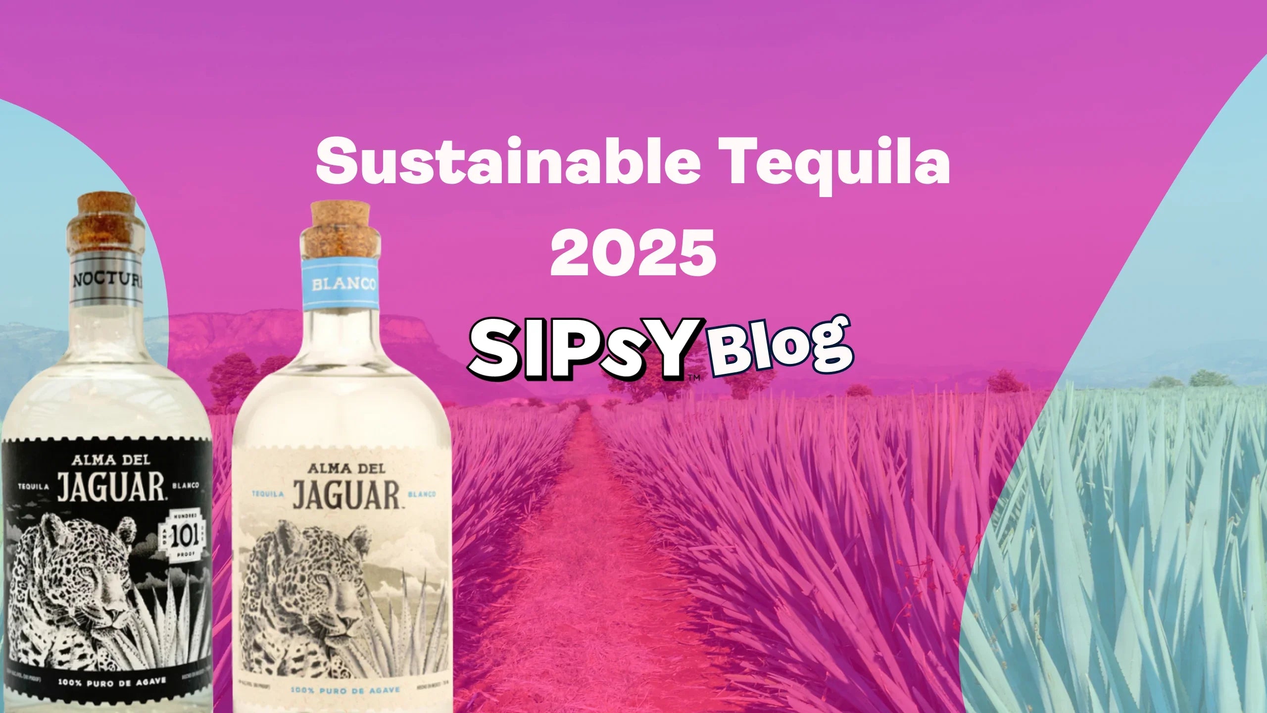Sustainable Tequila 2025 – Sipsy