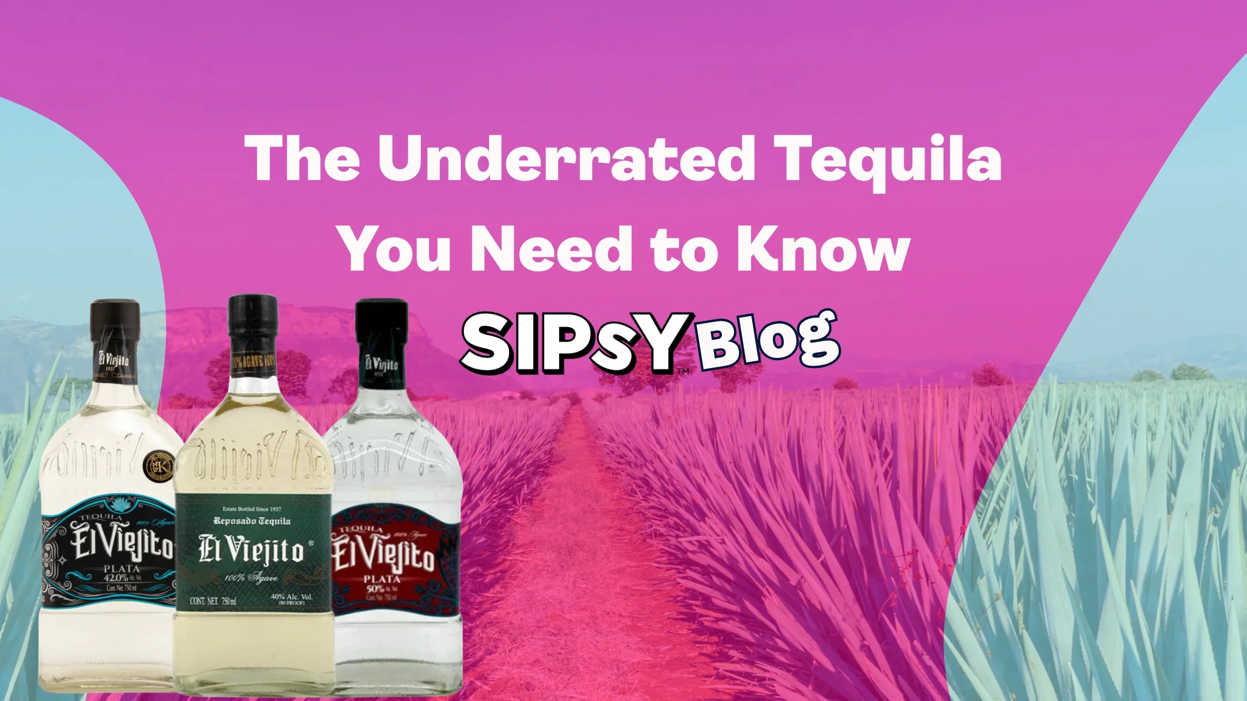 The Underrated Tequila You Need to Know – Sipsy